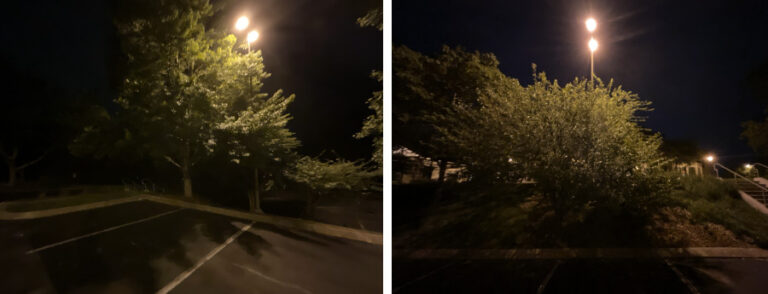 cpted-lighting-trees-01 - CIS World Services